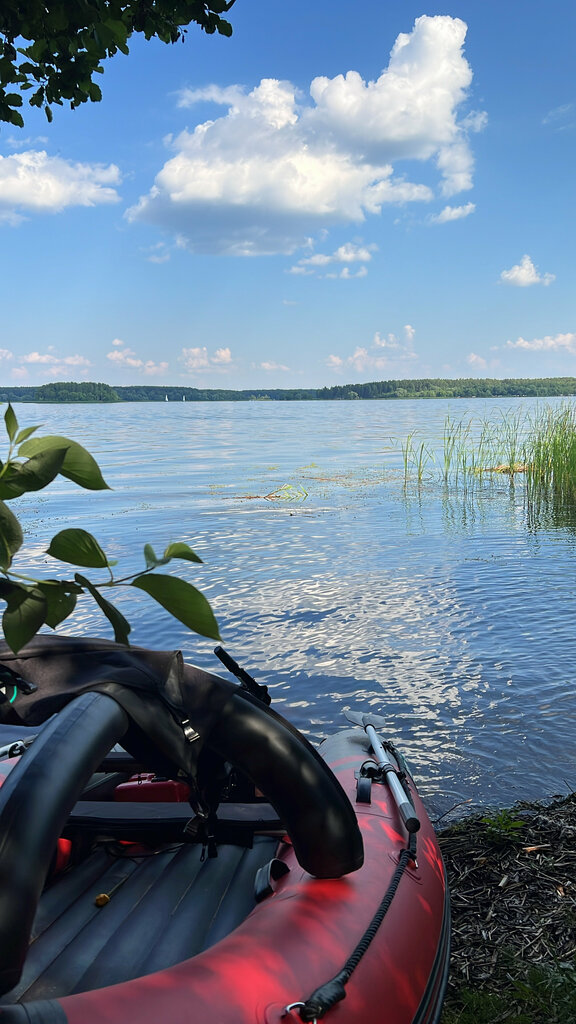 Resort oteller, tesisler Дом отдыха, Başkurdistan, foto