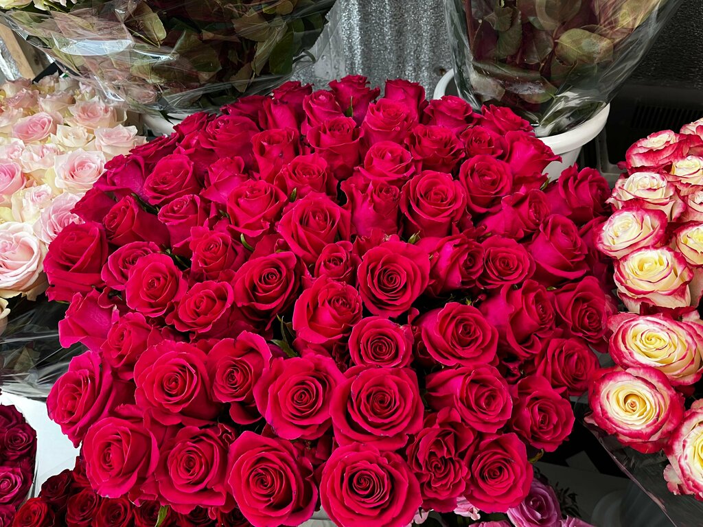 Çiçekçiler Цветочный склад 24, Himki, foto