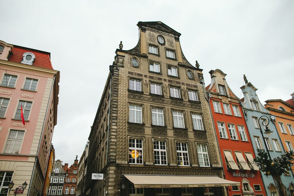 Daireler Blue Buddy - Hard Rock, Gdansk, foto