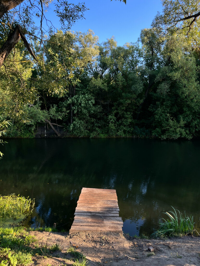 Plaj Пляж, Tambovskaya oblastı, foto