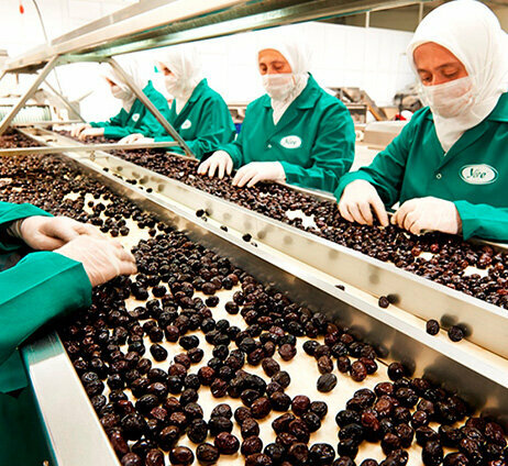 Gıda üreticileri Peyba Gıda, Gebze, foto