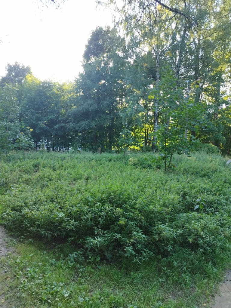 Kuyu Well, Saint‑Petersburg, foto