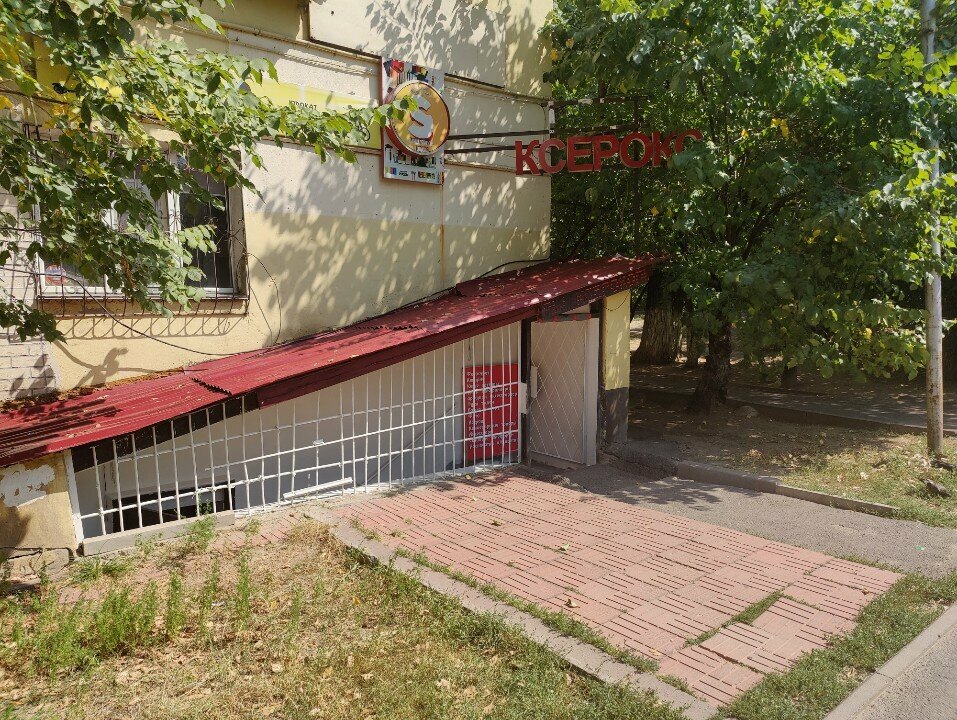 Fotoğraf hizmetleri Seka, Almatı, foto