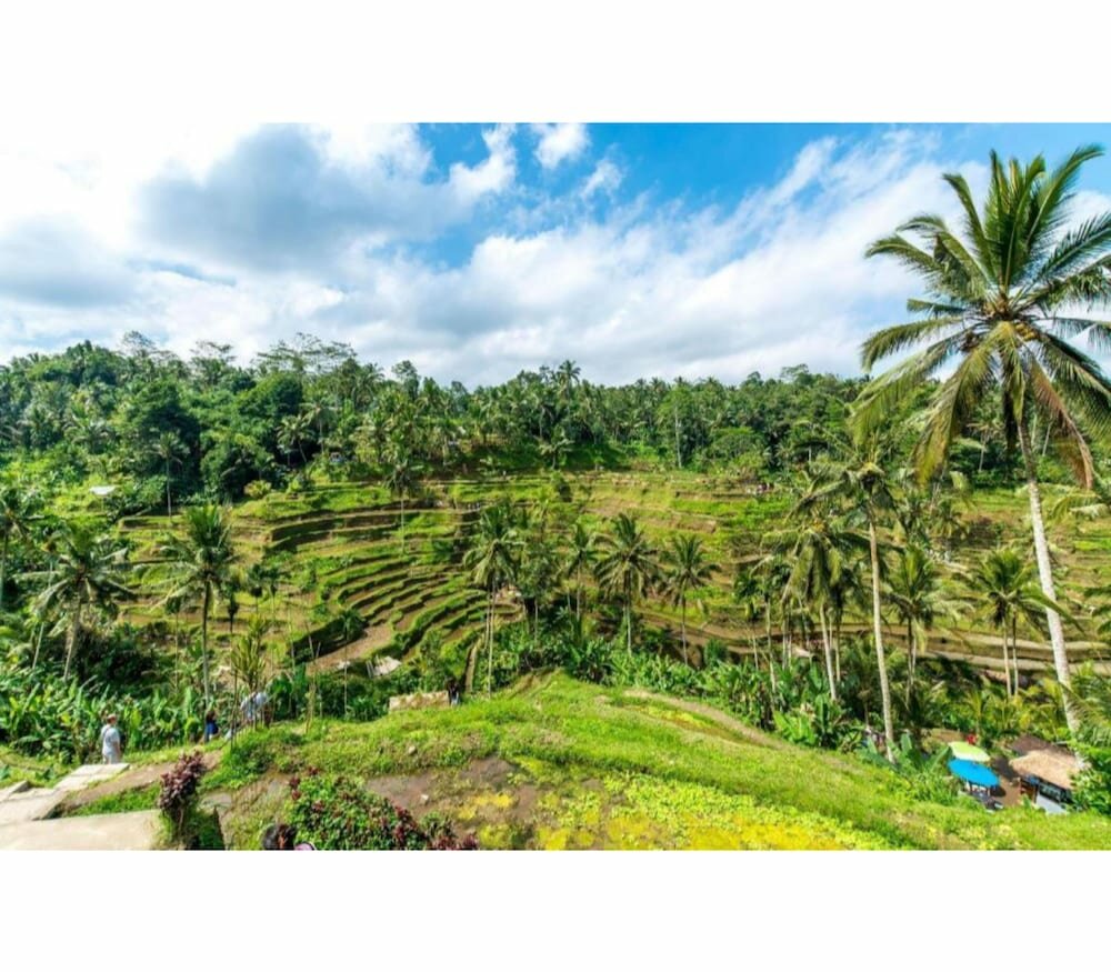 Otel Padi-Padi Backpackers Home, Bali, foto