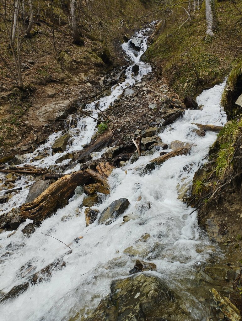 Pınar, çay Spring, stream, Soçi, foto