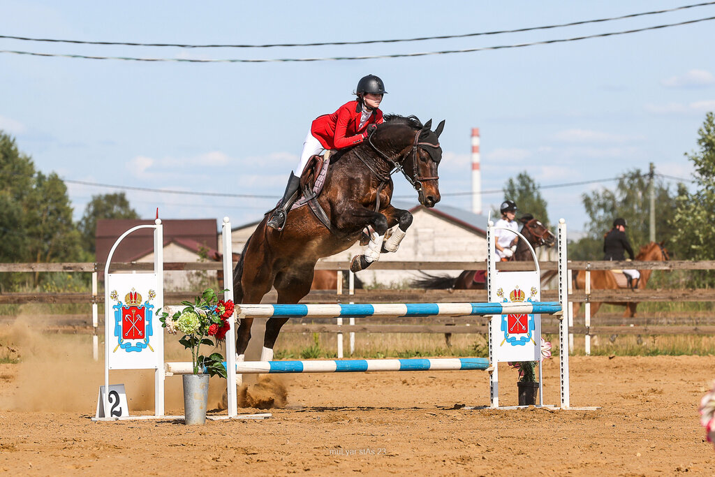 At ve binicilik kulüpleri Конный клуб Ткаченко Алены, Saint‑Petersburg ve Leningradskaya oblastı, foto