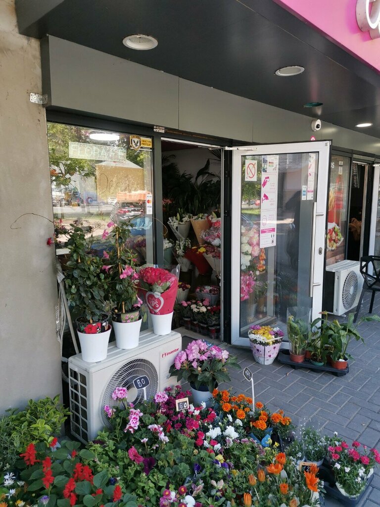Çiçekçiler BettyFlora, Kişinev, foto