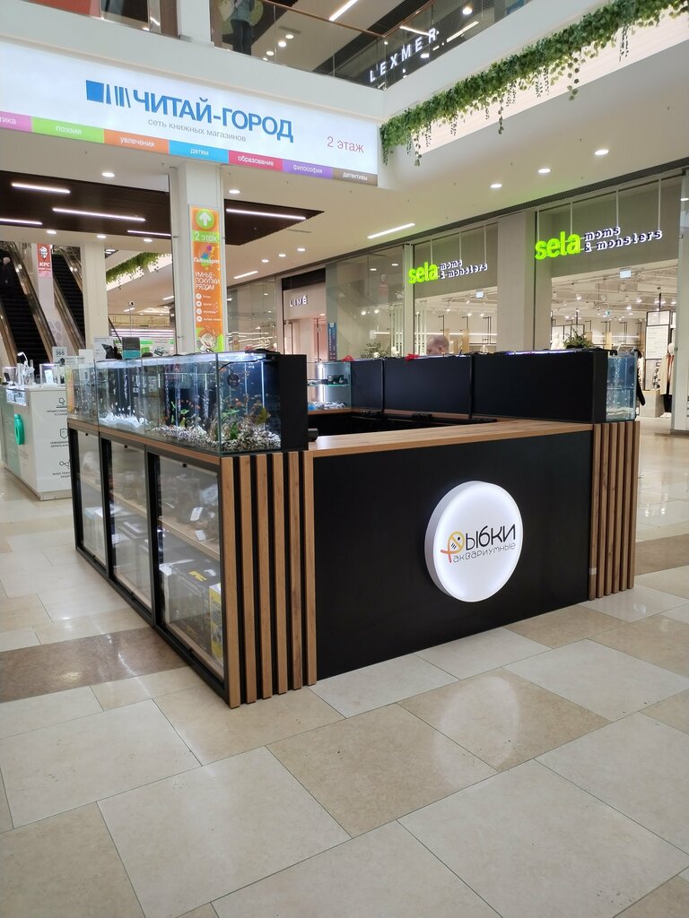 Akvaryumlar Рыбки аквариумные, Tiumen, foto