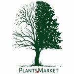 PlantsMarket (Leningrad Region, Priozerskiy District, Sosnovskoye selskoye poseleniye, derevnya Orekhovo), fidan yetiştiriciliği  Saint‑Petersburg ve Leningradskaya oblastından