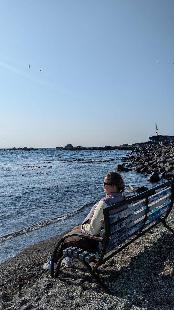 Anıt, heykel Основателям и освободителям города Холмск, Holmsk, foto