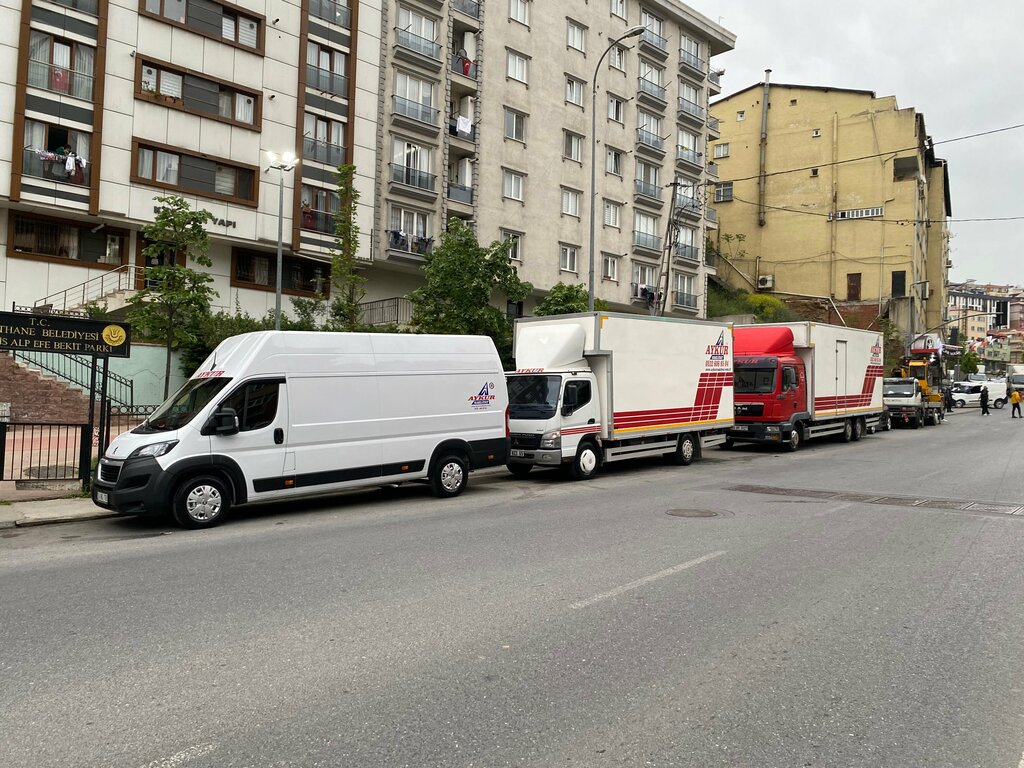 Nakliye firmaları Aykur Nakliyat, İstanbul, foto