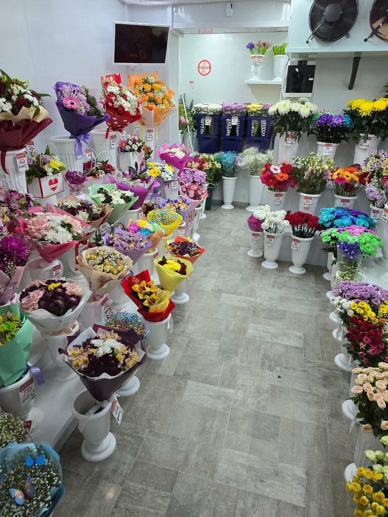 Çiçekçiler База Цветов 24, Ramenskoye, foto
