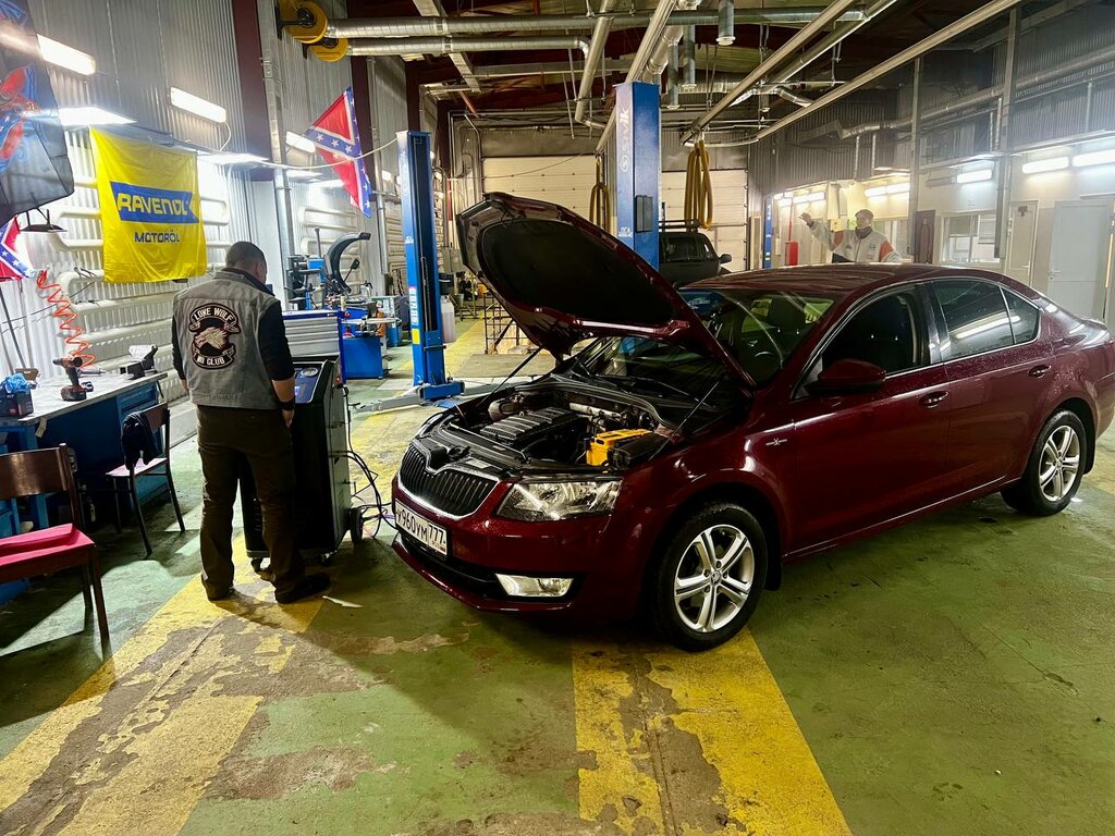 Otomobil servisi AutoservicE Rgsu, Moskova, foto