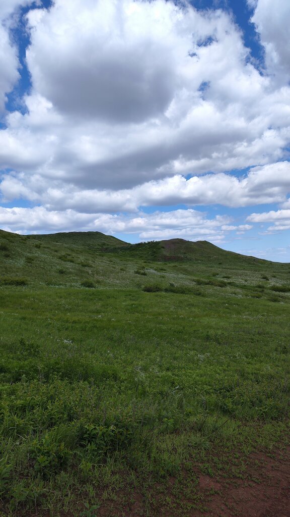 Dağ zirvesi Гора Горюн, Orenburgskaya oblastı, foto