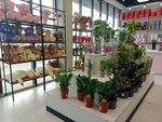 Royal Flowers (No:59/3, 28-shi shaǵyn aýdan), çiçekçiler  Aktav'dan