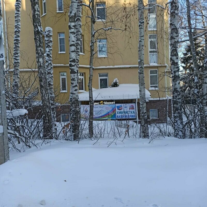 Kuru temizlemeciler Aquamarin, Nijegorodskaya oblastı, foto