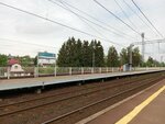 Skachki (St. Petersburg, Krasnoye Selo, sadovodstvo Severnaya verf), tren garları  Krasnoye Selo'dan