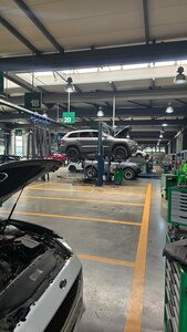 Tegeta Motors (Tbilisi, Patara Digomi), otomobil servisi  Tiflis'ten