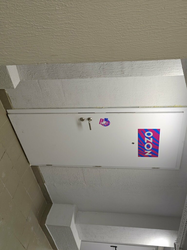 Teslimat noktası Ozon, Moskova, foto