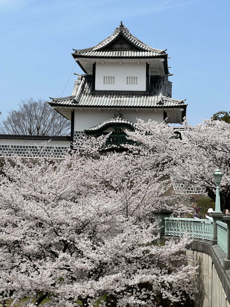 Seyahat acenteleri Fuji Travel, Moskova, foto