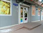 Швейная мастерская (ulitsa Belanova No:11, mikrorayon Chkalovsk), terziler  Kaliningrad'dan