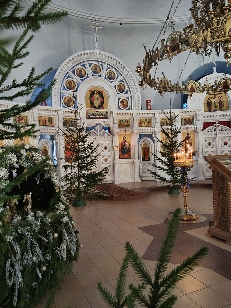 Ortodoks kiliseleri Церковь Димитрия Солунского, Tulskaya oblastı, foto