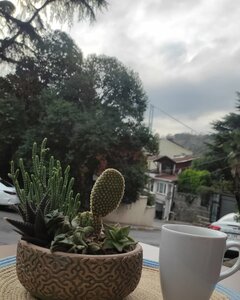 Cafe Boyacıköy (Emirgan Mah., Fırın Sok., No:36, Sarıyer, İstanbul), kafe  İstanbul'dan