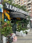 Lavender (Sabit Orucov Street No:45), çiçekçiler  Bakü'den