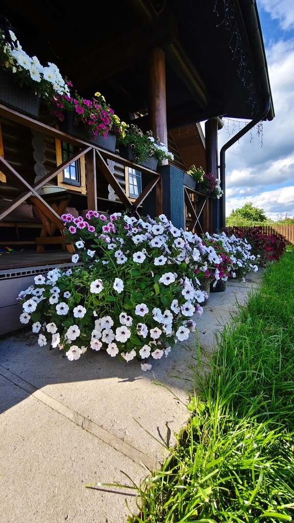 Çiftlik tatili Сказочное место, Novgorodskaya oblastı, foto