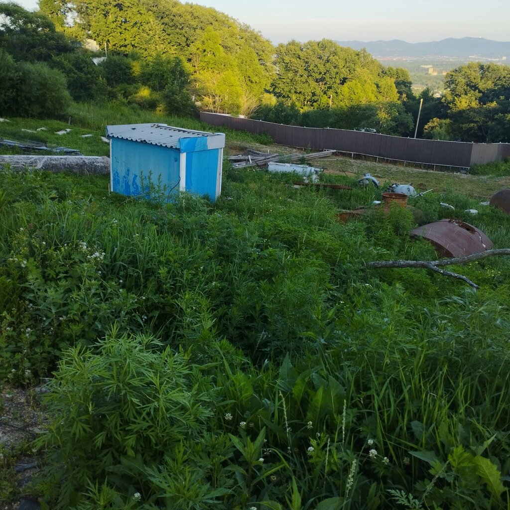 Bahçecilik dernekleri ve kuruluşları СНТ Лесник, Primoriye, foto