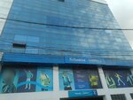 Softwarica College of IT and E-Commerce (Kathmandu, Ward 30), yüksekokul  Katmandu'dan
