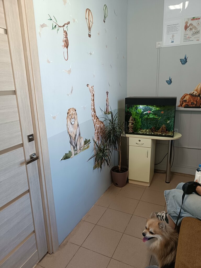 Veteriner klinikleri Tsentr veterinarii prigorodny, filial Dyatkovsky, Gbu, Diatkovo, foto