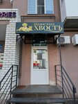 Хвостъ (ulitsa imeni Viktora Arzhanogo No:3), petshop  Saratov'dan