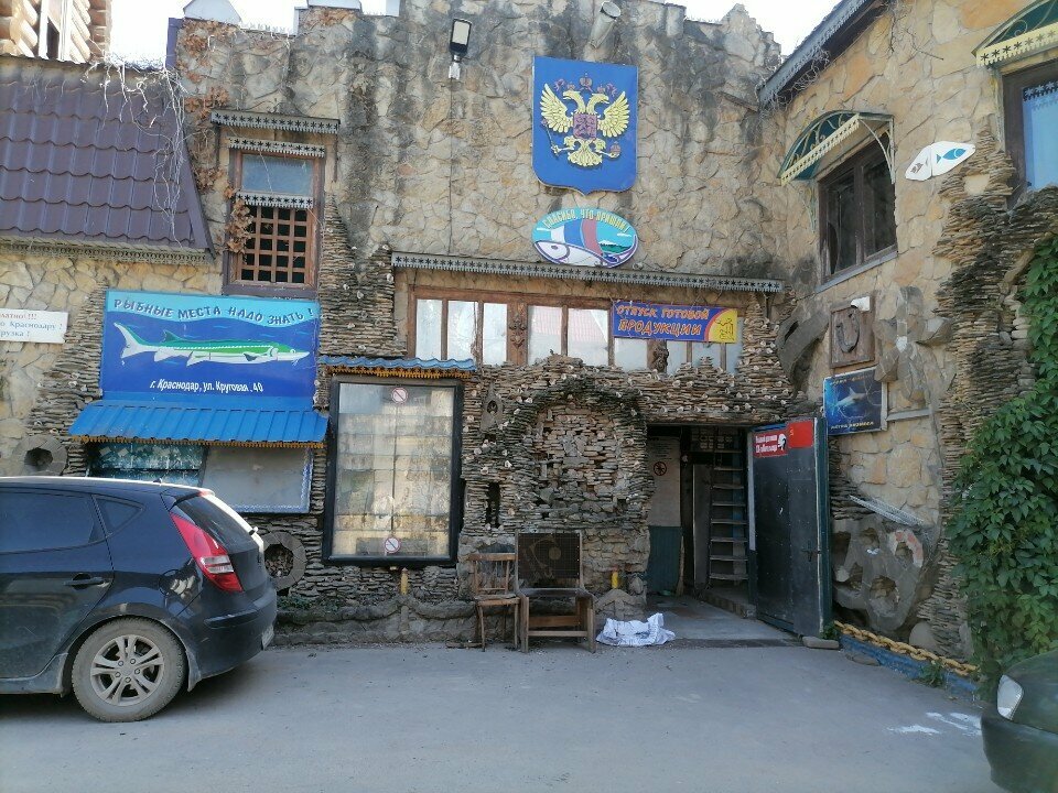 Balık ve deniz ürünleri Живые раки, оптово-розничная база, Krasnodar, foto