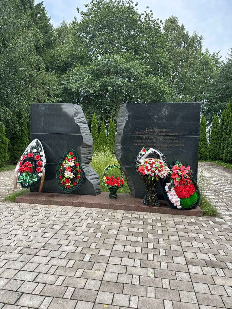 Anıt, heykel Братская могила советских военнопленных, партизан, подпольщиков и мирных жителей, Minskaya oblastı, foto