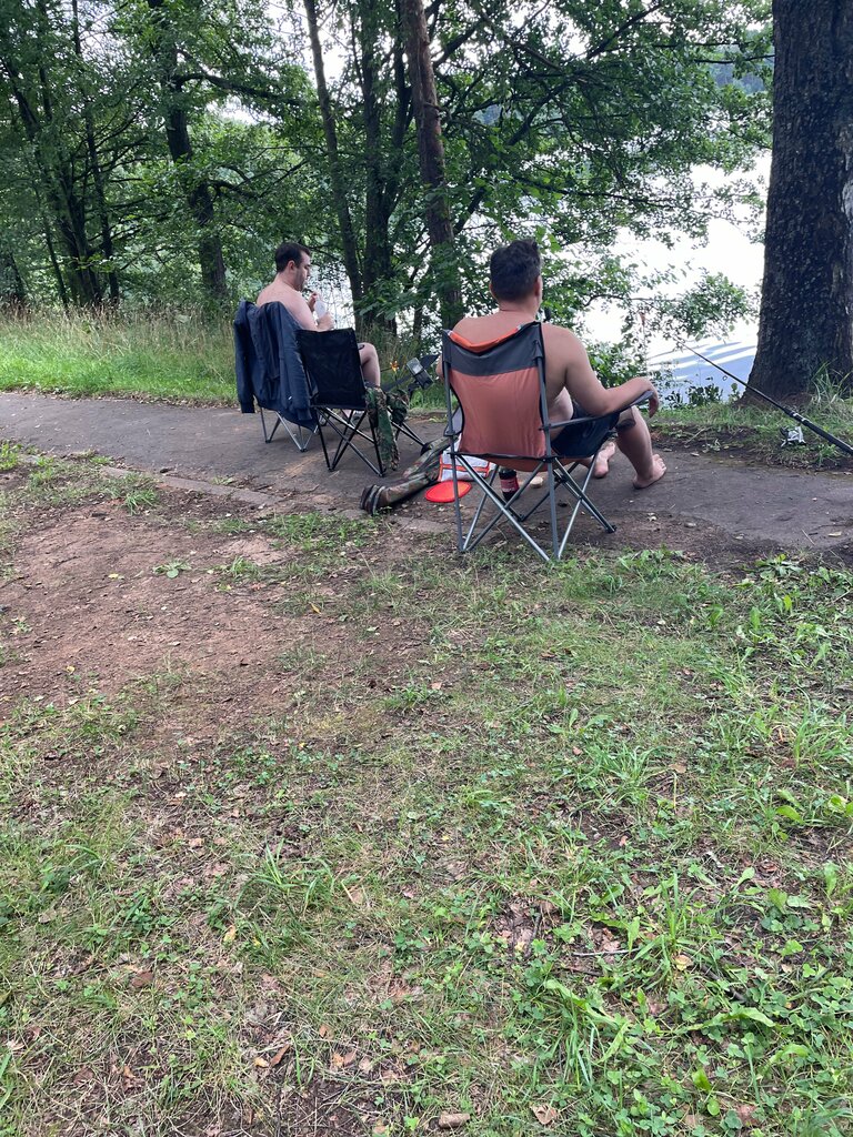 Piknik alanı Площадка для отдыха, Moskova ve Moskovskaya oblastı, foto