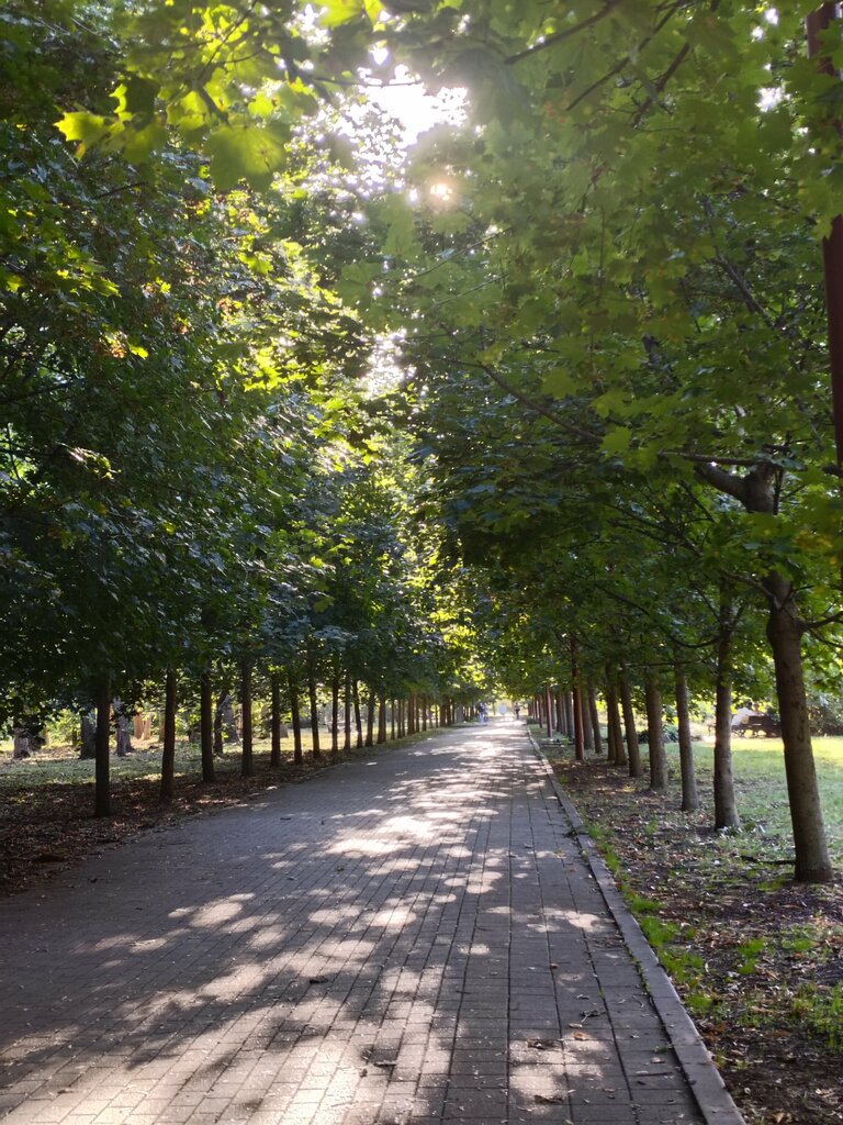 Kültür ve eğlence parkları Дендрарий, Krasnodarski krayı, foto