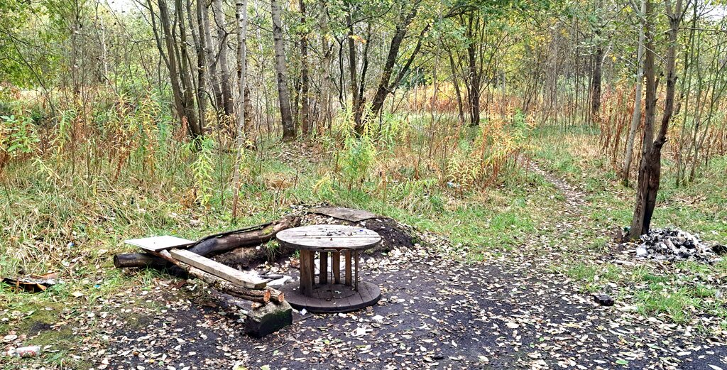 Piknik alanı Место для пикника, Krasnoye Selo, foto