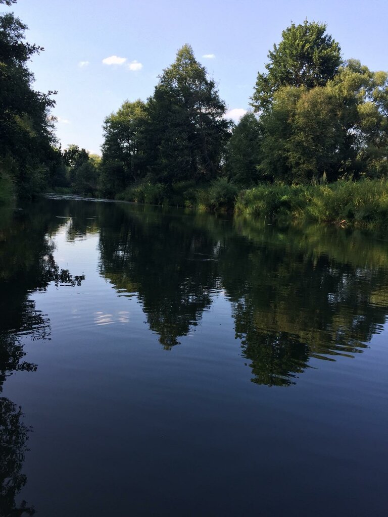 Doğa Берег реки Таруса, участок Ильинский омут, Kalujskaya oblastı, foto