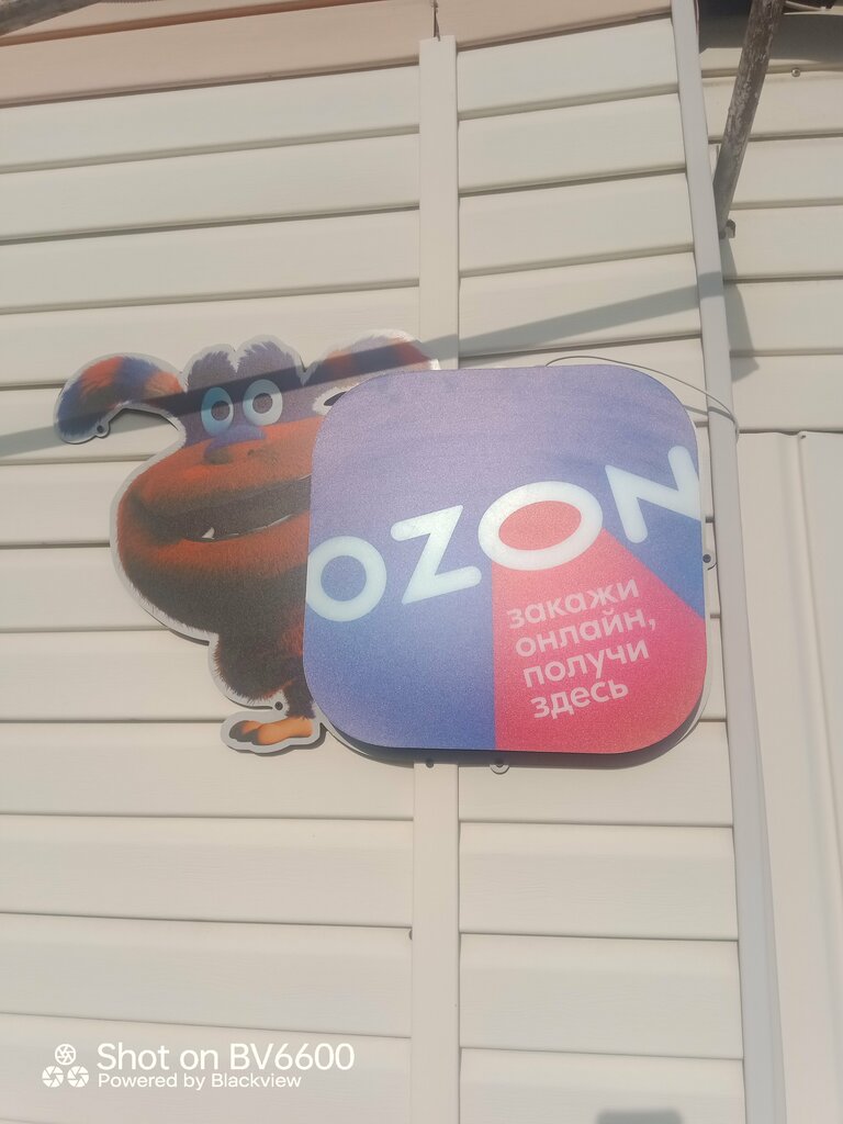Teslimat noktası Ozon, Saratovskaya oblastı, foto