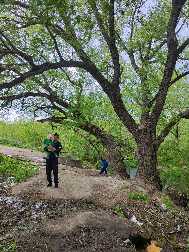 Pınar, çay Bulak, Kostanay eyaleti, foto