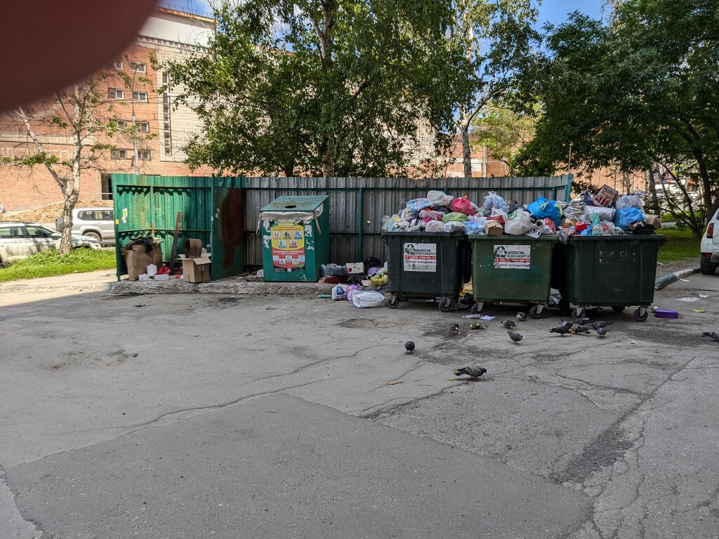 Çöp alanları Trash and garbage disposal area, Novosibirsk, foto