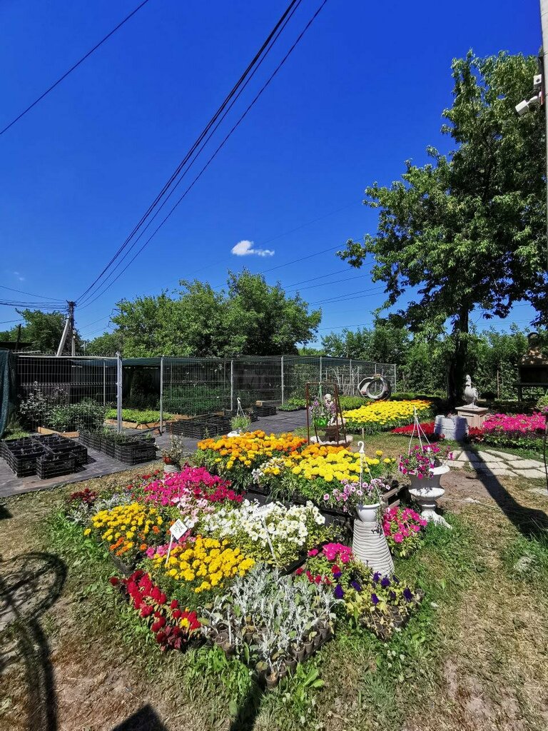 Sera ve bahçe ürünleri Зеленый рай, Barnaul, foto