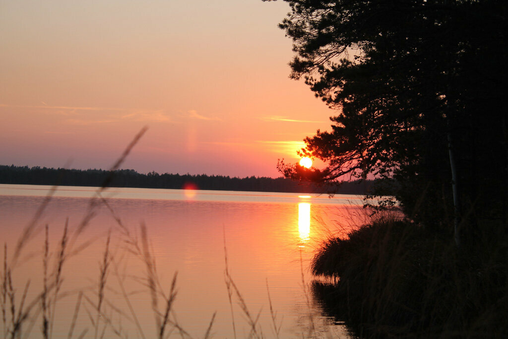 Doğa koruma alanı zakaznik respublikanskaga znachennia Zhada, Vitebskaya oblastı, foto