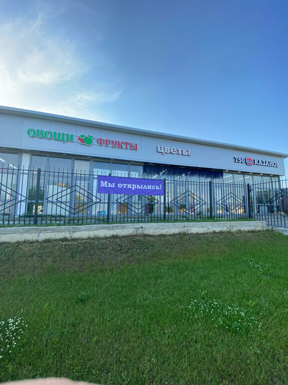 Çiçekçiler Anyutiny Glazki, Ramenskoye, foto