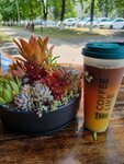 Coffee Like (ulitsa Lenina No:21А, posyolok gorodskogo tipa Mostovskoy), kahve dükkanları  Krasnodarski krayından