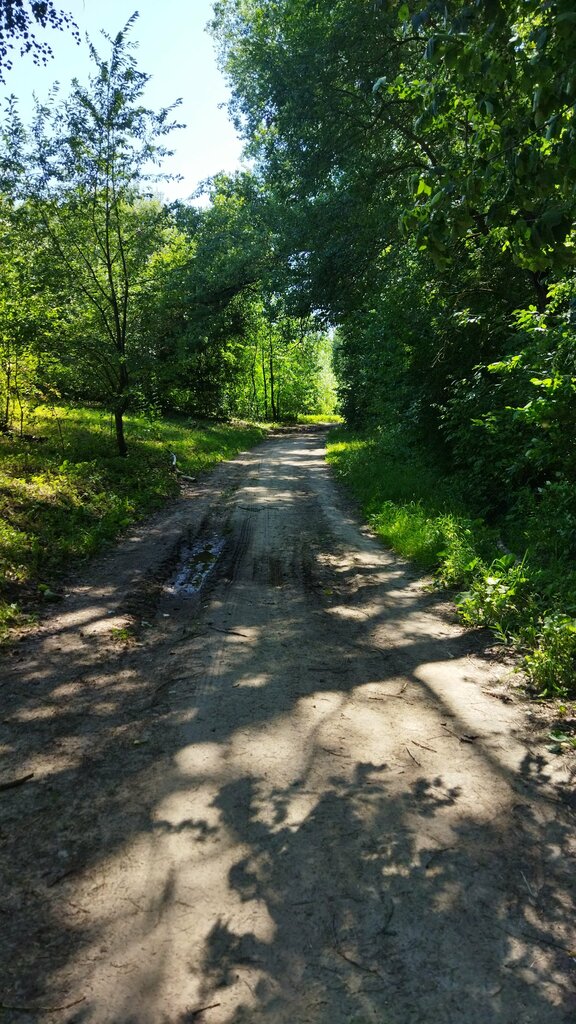 Turistik yerler Medvezhino Ecotrail, Minsk, foto