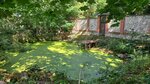 Spring, stream (St. Petersburg, Krasnoye Selo, prospekt Dvadtsat Pyatogo Oktyabrya), pınar, çay  Krasnoye Selo'dan