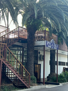 Русалка (Autonomous Republic of Abkhazia, Town of Gagra, Old Gagra Subdistrict), kafe  Gagra'dan