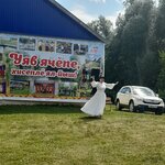 Клуб деревни Избеби (Krupskaya ulitsa No:34, derevnya Izbebi), kültür ocakları  Çuvaşya'dan